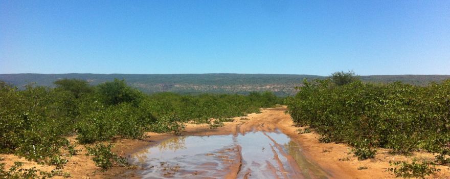 Palapye Travel Guide 2023 - Things to Do, What To Eat & Tips | Trip.com