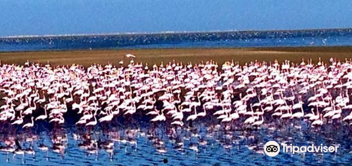 Walvis Bay 2023 Top Things to Do - Walvis Bay Travel Guides - Top ...