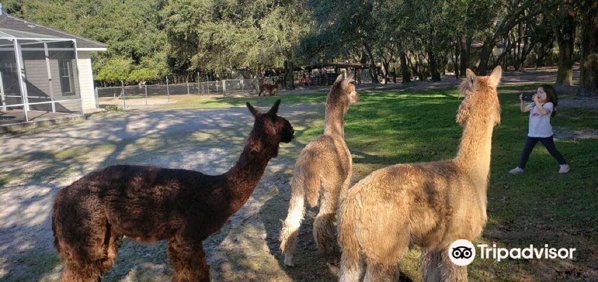 Lecanto 2023 Top Things to Do - Lecanto Travel Guides - Top Recommended ...