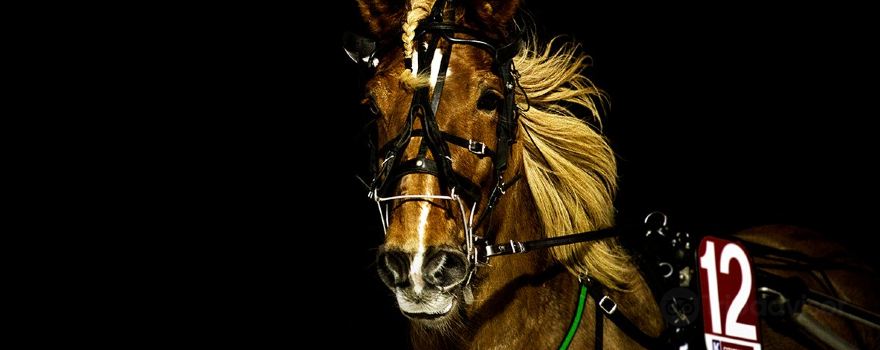 Forssa 2023 Top Things to Do - Forssa Travel Guides - Top Recommended ...