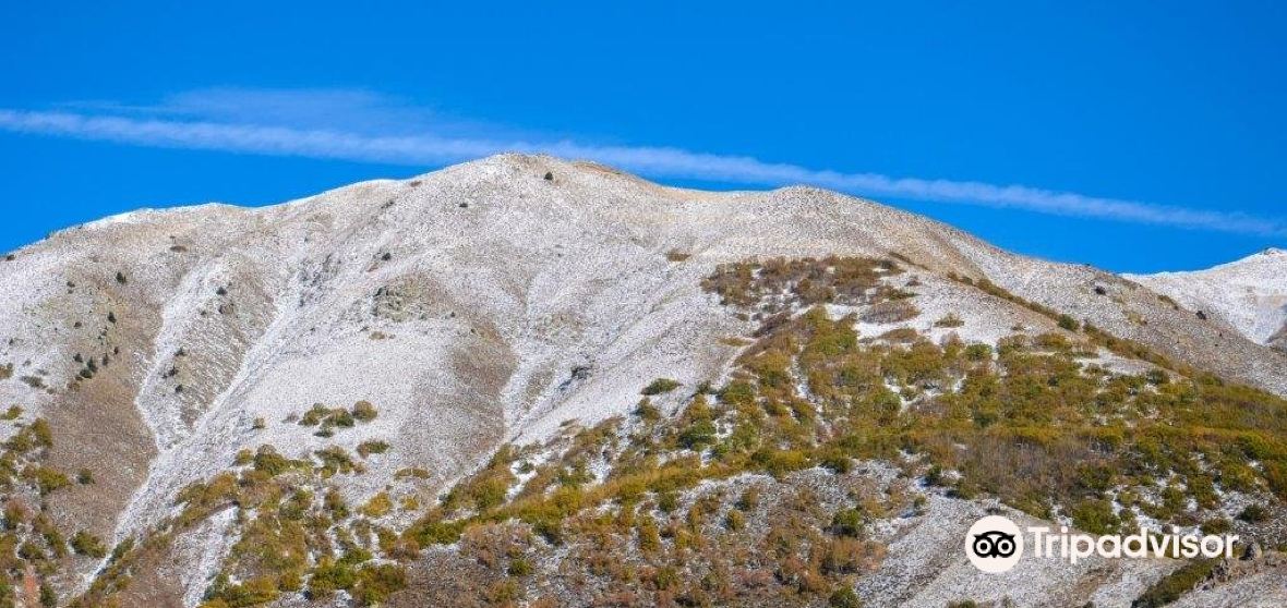 Mandria Travel Guide 2023 - Things to Do, What To Eat & Tips | Trip.com