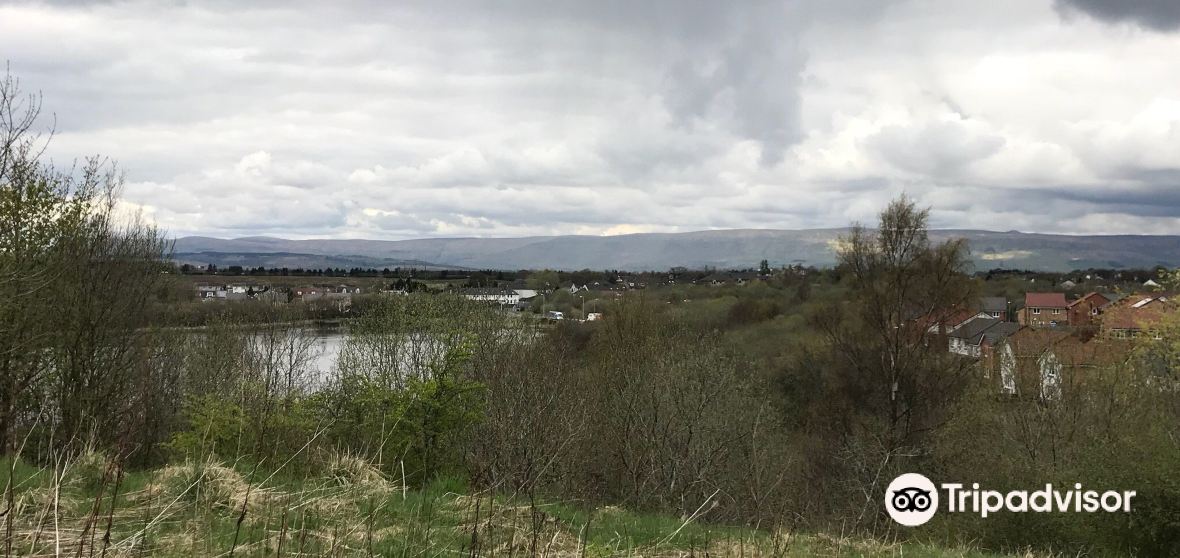 Stepps Travel Guide 2023 - Things to Do, What To Eat & Tips | Trip.com