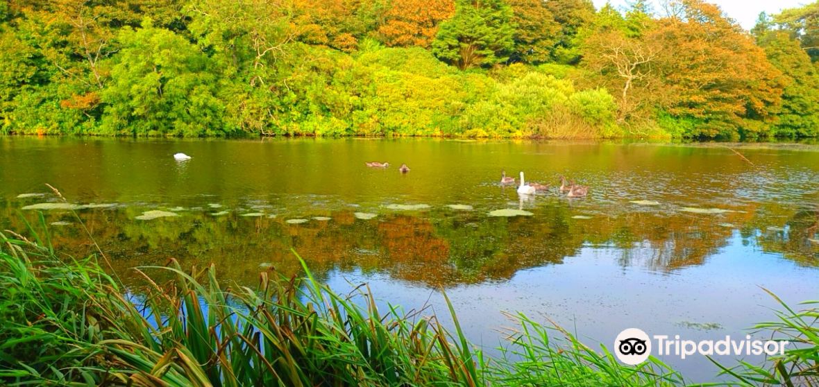 Stranraer Travel Guide 2023 - Things to Do, What To Eat & Tips | Trip.com