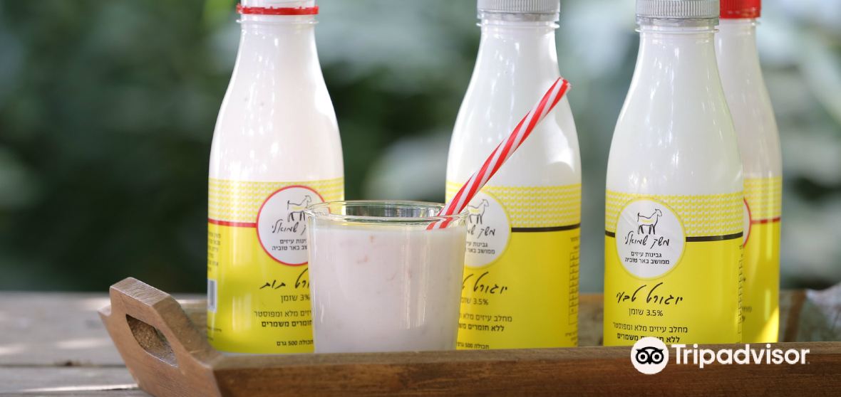 Be'er Tuvia Travel Guide 2023 - Things to Do, What To Eat & Tips | Trip.com