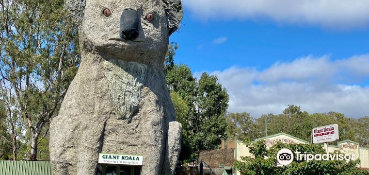 Dadswells Bridge Travel Guide 2023 - Things to Do, What To Eat & Tips ...