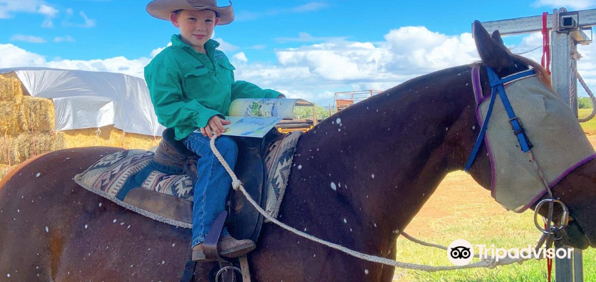 Braitling Travel Guide 2023 - Things to Do, What To Eat & Tips | Trip.com