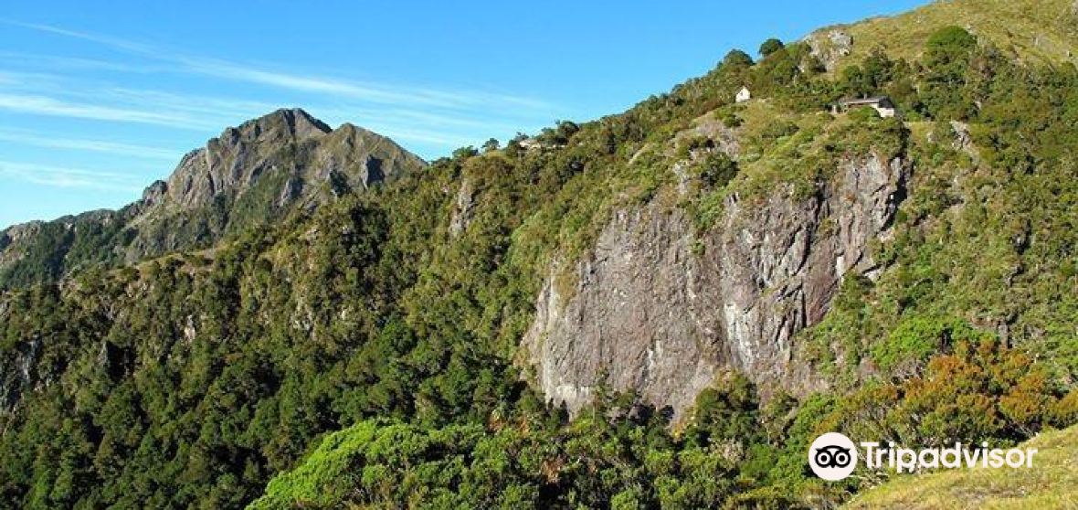 Upper Buller Gorge Travel Guide 2023 - Things to Do, What To Eat & Tips ...