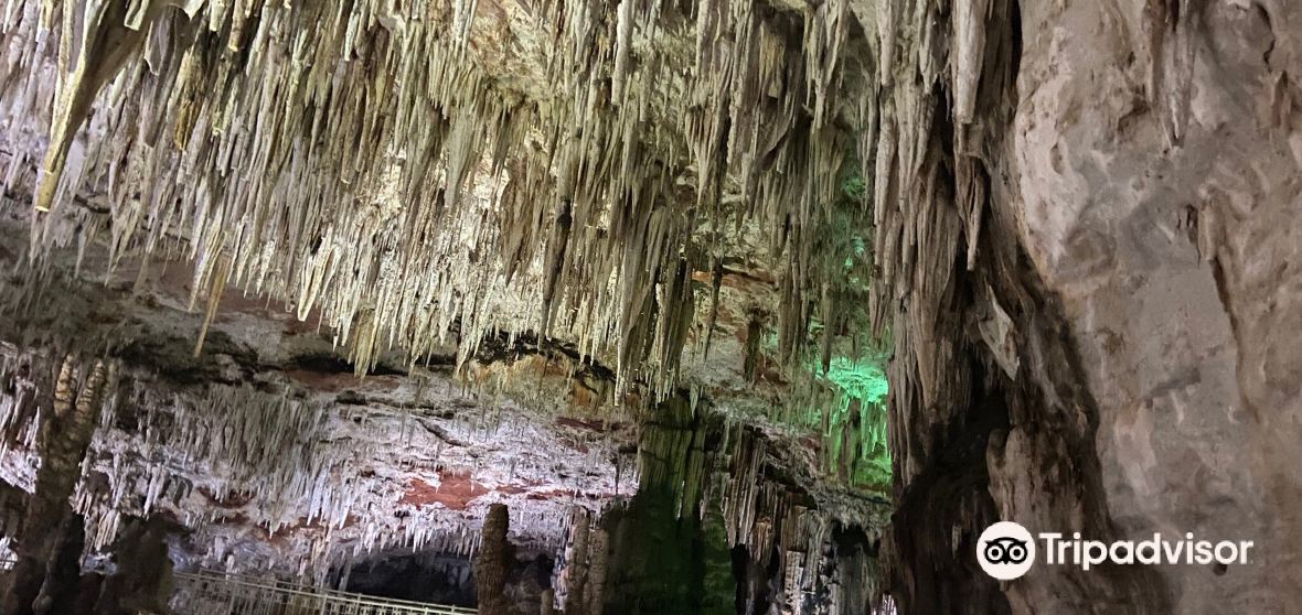 กิจกรรมน่าทำยอดนิยมในAin Fezzaประจำปี 2023 - คู่มือท่องเที่ยวAin Fezza ...