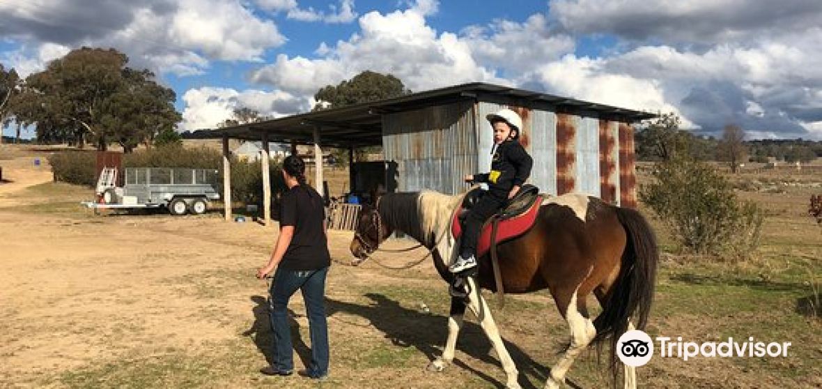 Inverell 2022 Top Things to Do - Inverell Travel Guides - Top ...