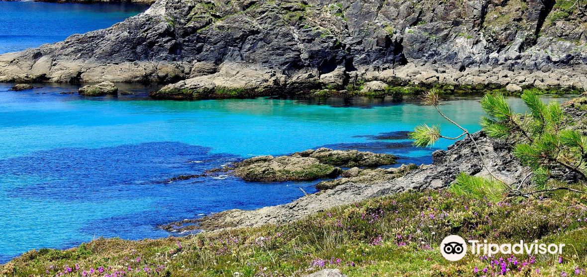 กิจกรรมน่าทำยอดนิยมในCorcubionประจำปี 2022 - คู่มือท่องเที่ยวCorcubion ...