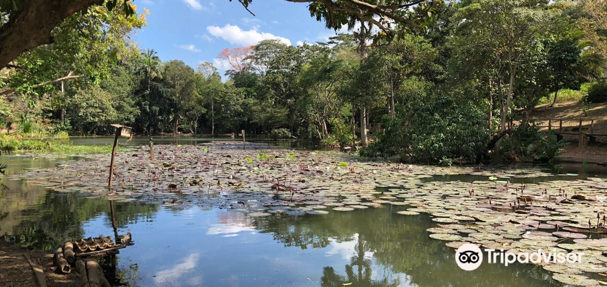 กิจกรรมน่าทำยอดนิยมในClaxton Bayประจำปี 2023 - คู่มือท่องเที่ยวClaxton ...