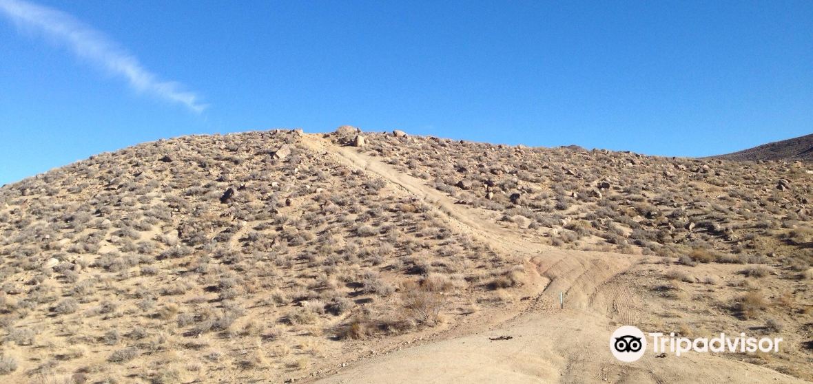 Ulu Telom Travel Guide 2023 - Things to Do, What To Eat & Tips | Trip.com