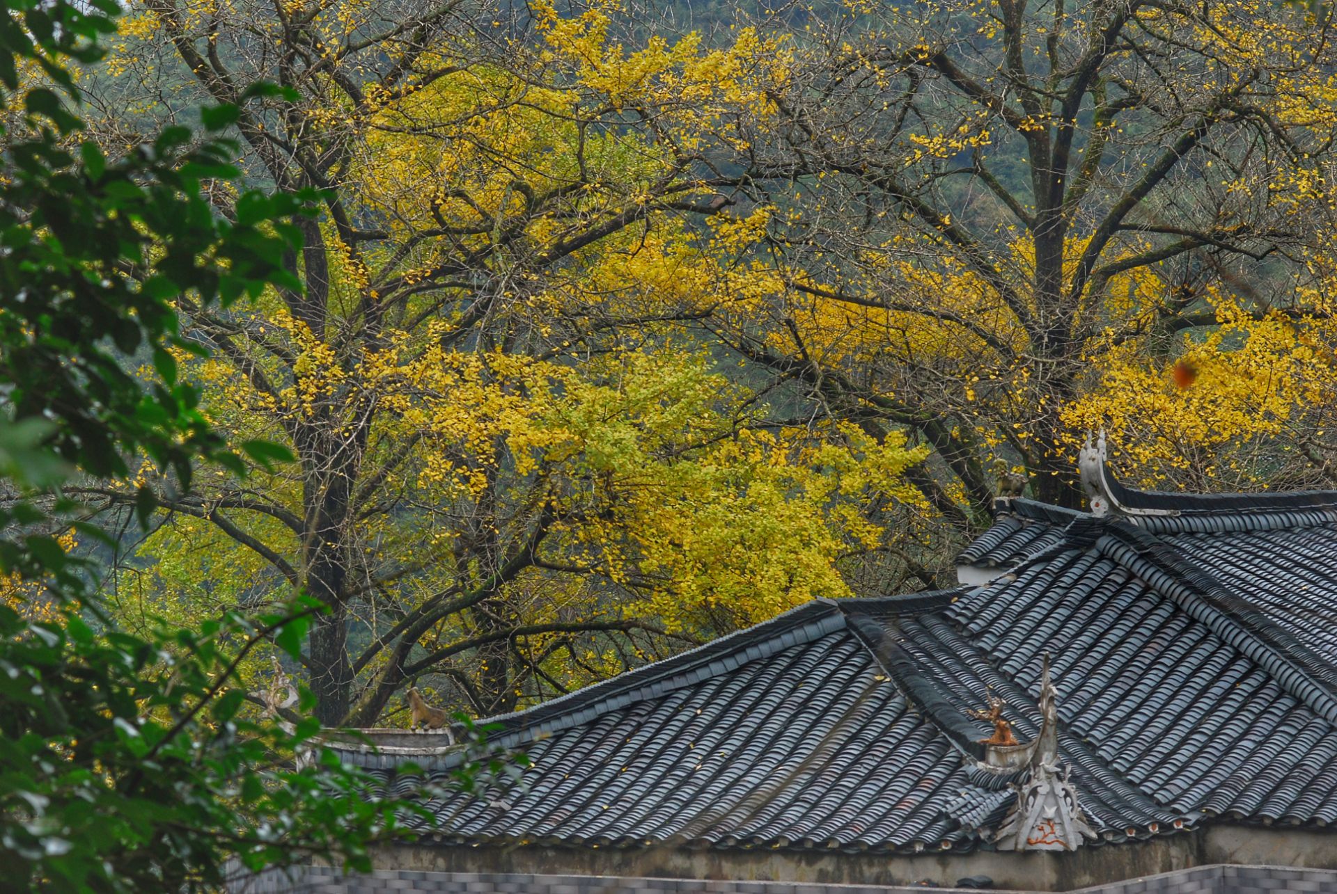 Yongzhou 2022 Top Things to Do - Yongzhou Travel Guides - Top ...