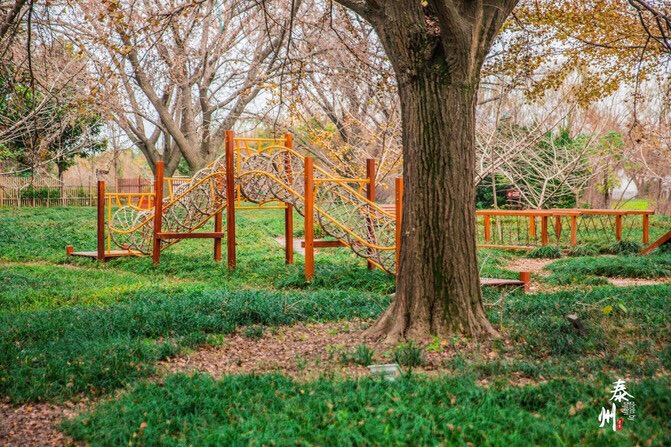 Taixing 2022 Top Things to Do - Taixing Travel Guides - Top Recommended ...