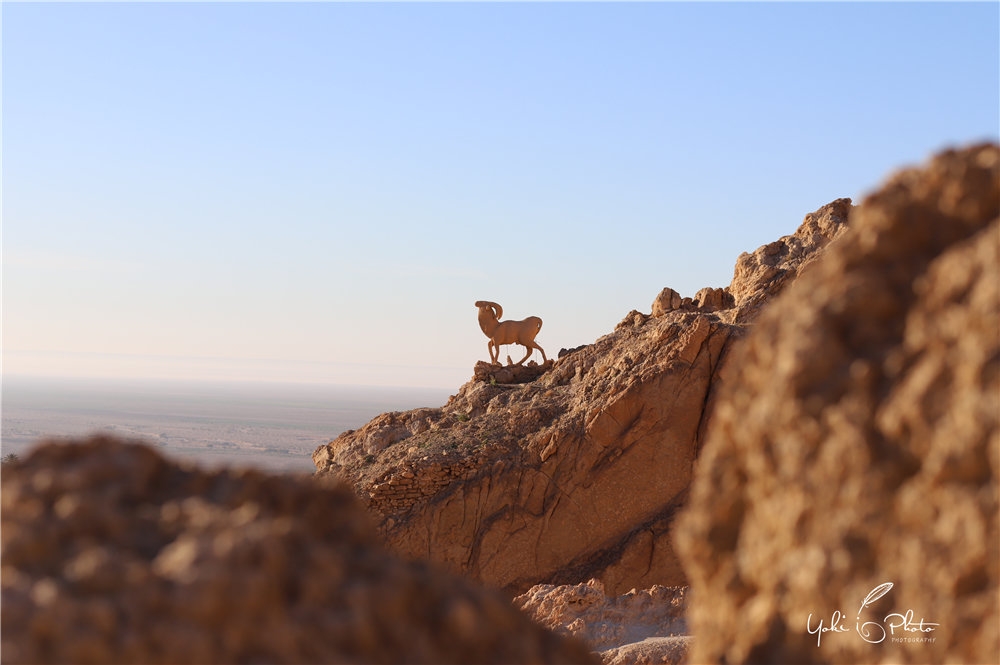 Tozeur 2022 Top Things to Do - Tozeur Travel Guides - Top Recommended ...