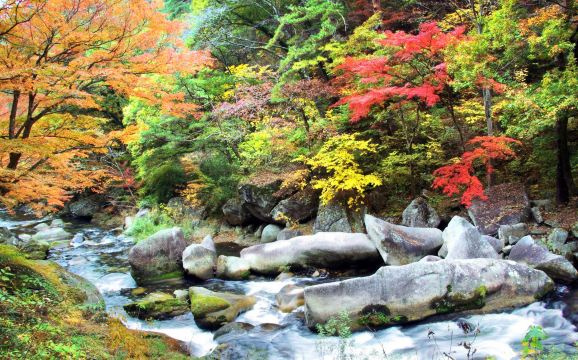Best Time to Visit Kofu for 1 Day :Itinerary, What to Do & Where to Go ...