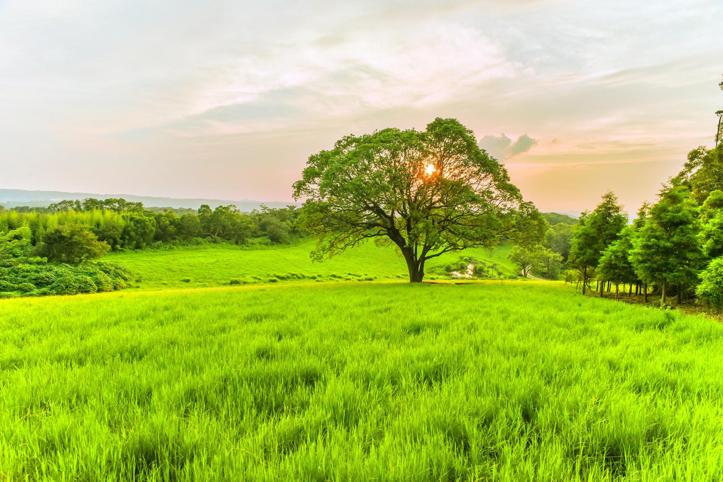 Miaoli Itinerary for 4 Days : Ultimate Miaoli Travel Guide - Trip.com