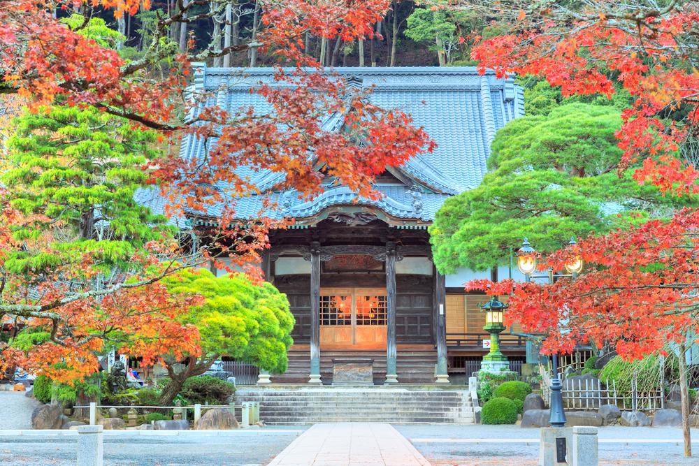 Best Time to Visit Izu:Itinerary, What to Do & Where to Go - Trip.com