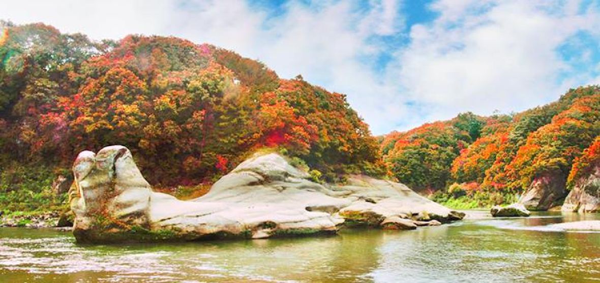 Yeoncheon-gun 2022 Top Things to Do - Yeoncheon-gun Travel Guides - Top ...