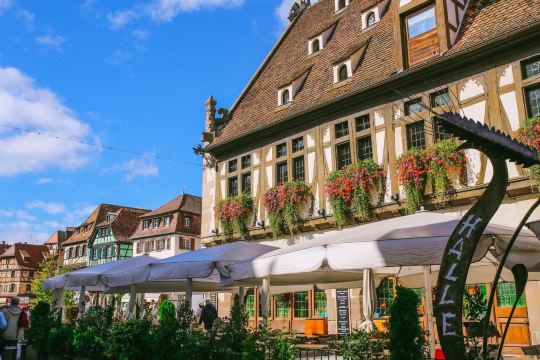 Obernai 2022 Top Things to Do - Obernai Travel Guides - Top Recommended ...
