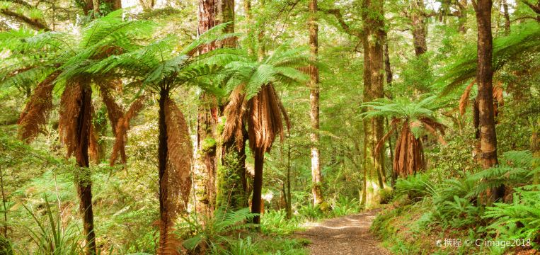 Maungapohatu Travel Guide 2023 - Things to Do, What To Eat & Tips ...