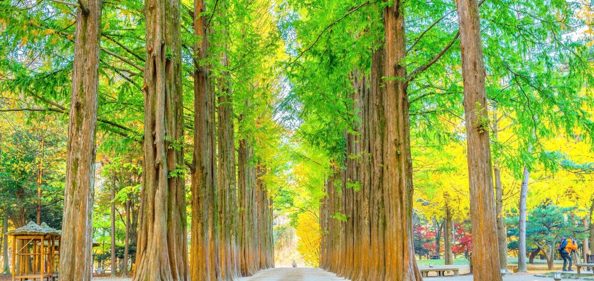 Chuncheon-si Travel Guide 2023 - Things to Do, What To Eat & Tips ...