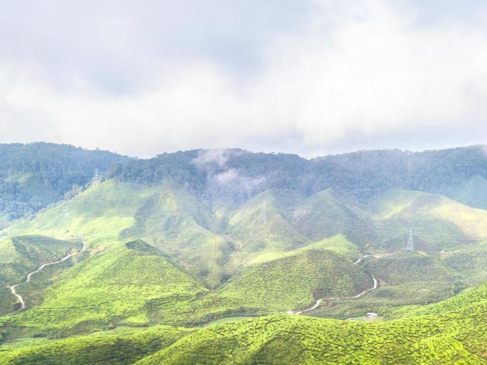 How to Spend 3 Days in Cameron Highlands - A Complete Itinerary for ...