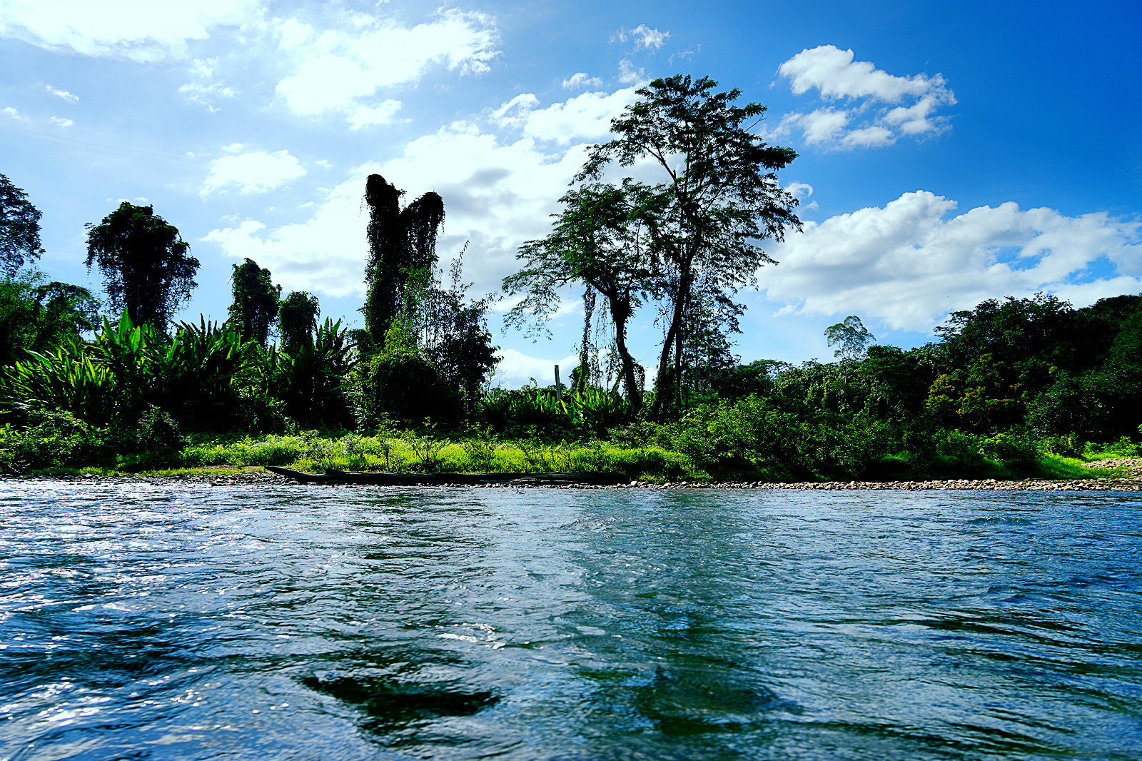 Temburong 2022 Top Things to Do - Temburong Travel Guides - Top ...