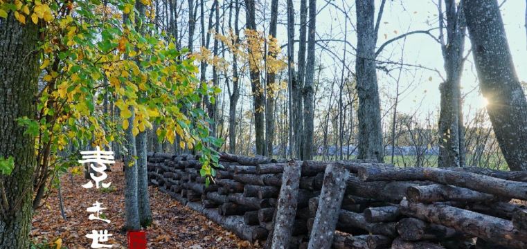 Dreilini Travel Guide 2023 - Things to Do, What To Eat & Tips | Trip.com