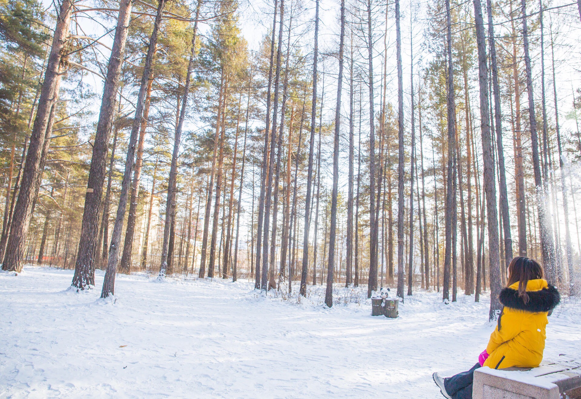 Mohe 2022 Top Things to Do - Mohe Travel Guides - Top Recommended Mohe ...