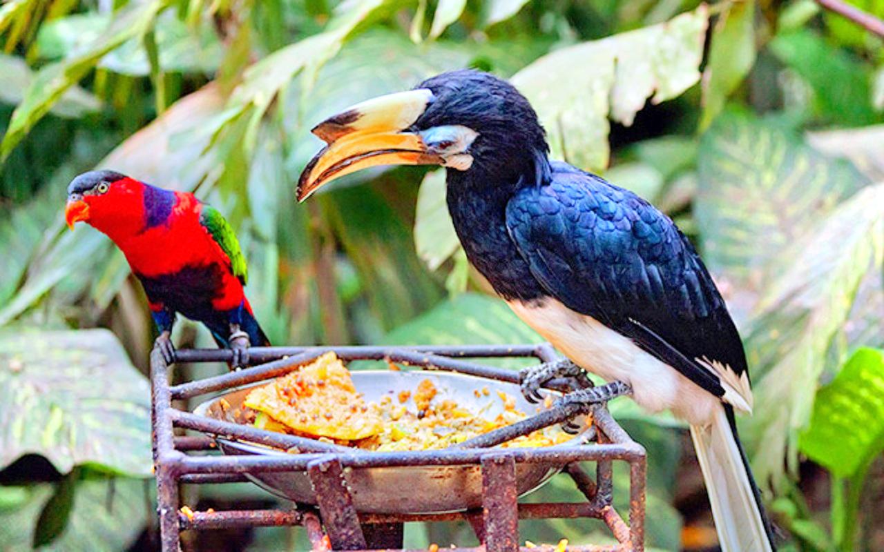 10 Days in Bali: What to Do and See in Bali - Trip.com