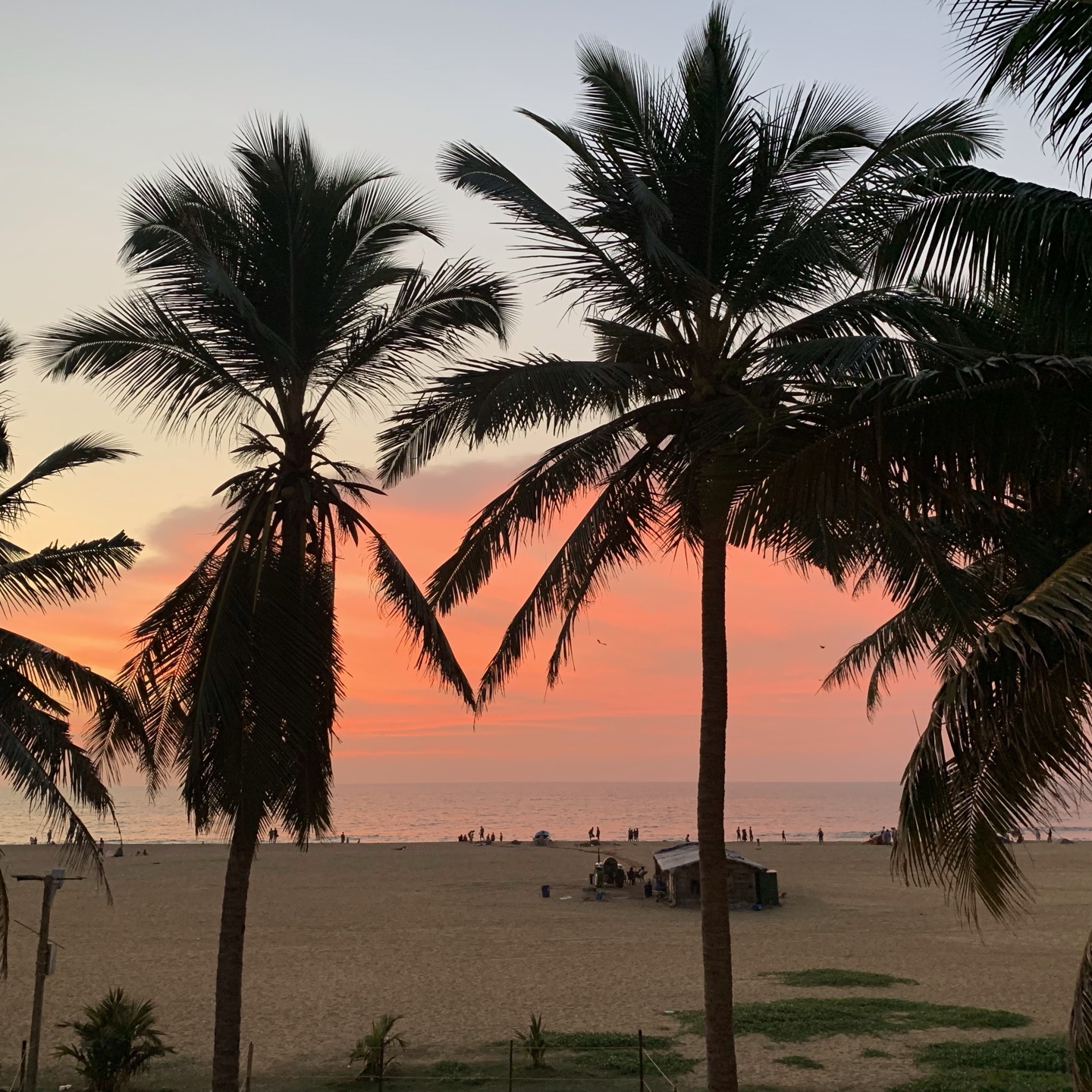 Negombo 2022 Top Things to Do - Negombo Travel Guides - Top Recommended ...