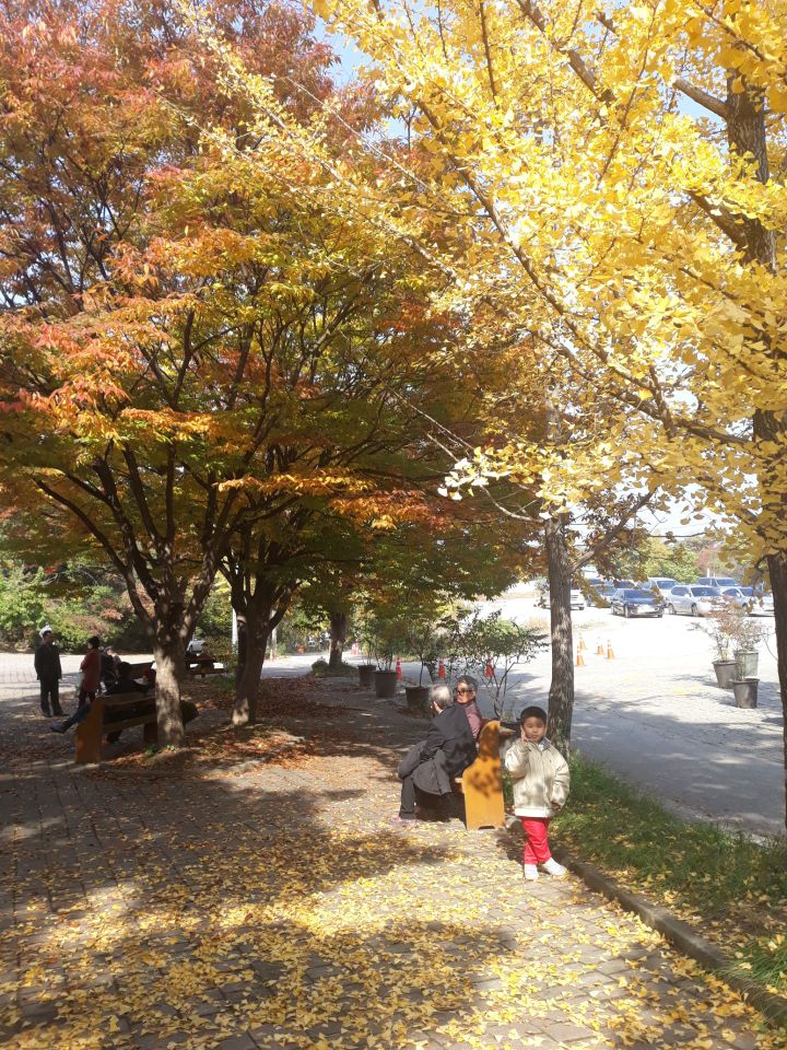 Geoje-si 2022 Top Things to Do - Geoje-si Travel Guides - Top ...