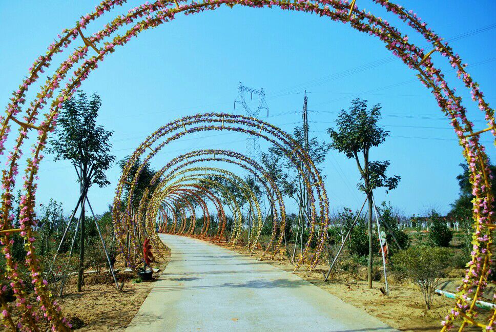 What to Do in Enping in 5 Days? Travel Guide and Tips - Trip.com