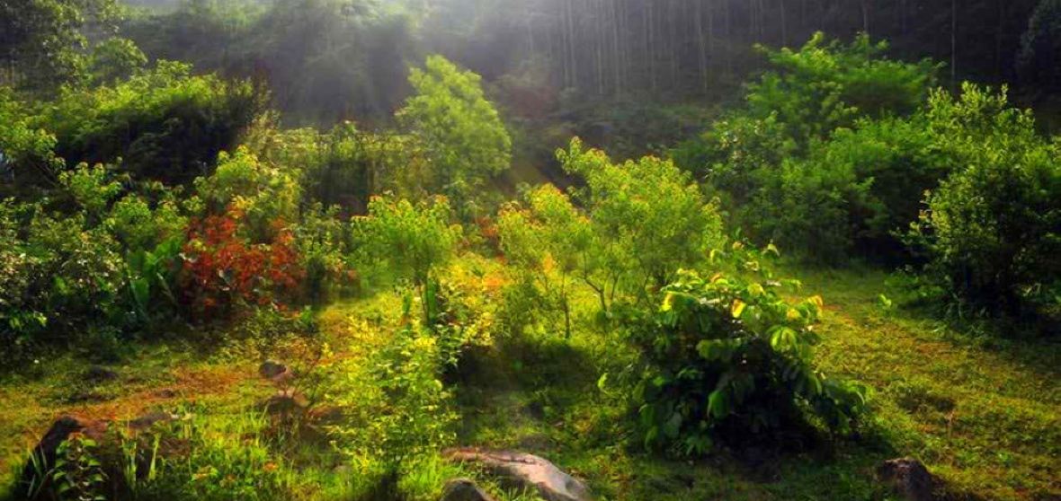 Guigang Travel Guide 2023 - Things to Do, What To Eat & Tips | Trip.com