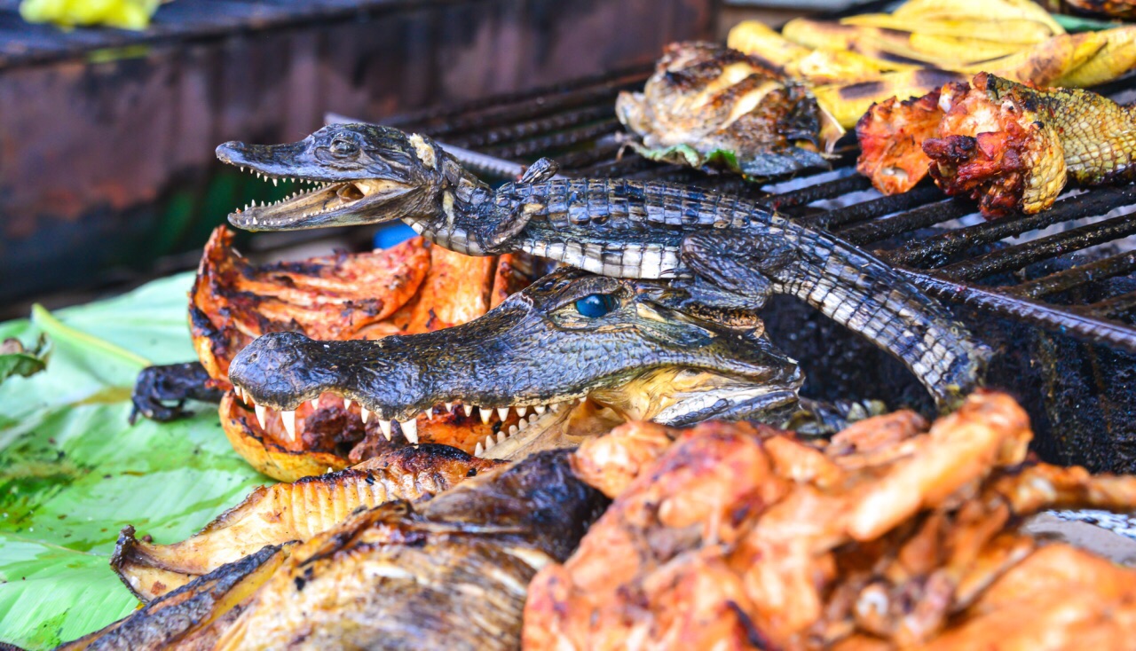 Leticia 2022 Top Things to Do - Leticia Travel Guides - Top Recommended ...