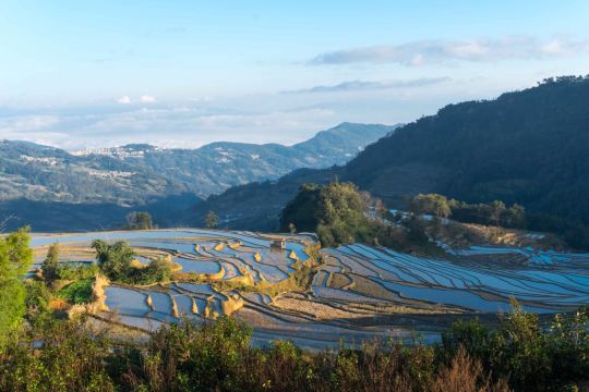Yuanyang 2022 Top Things to Do - Yuanyang Travel Guides - Top ...