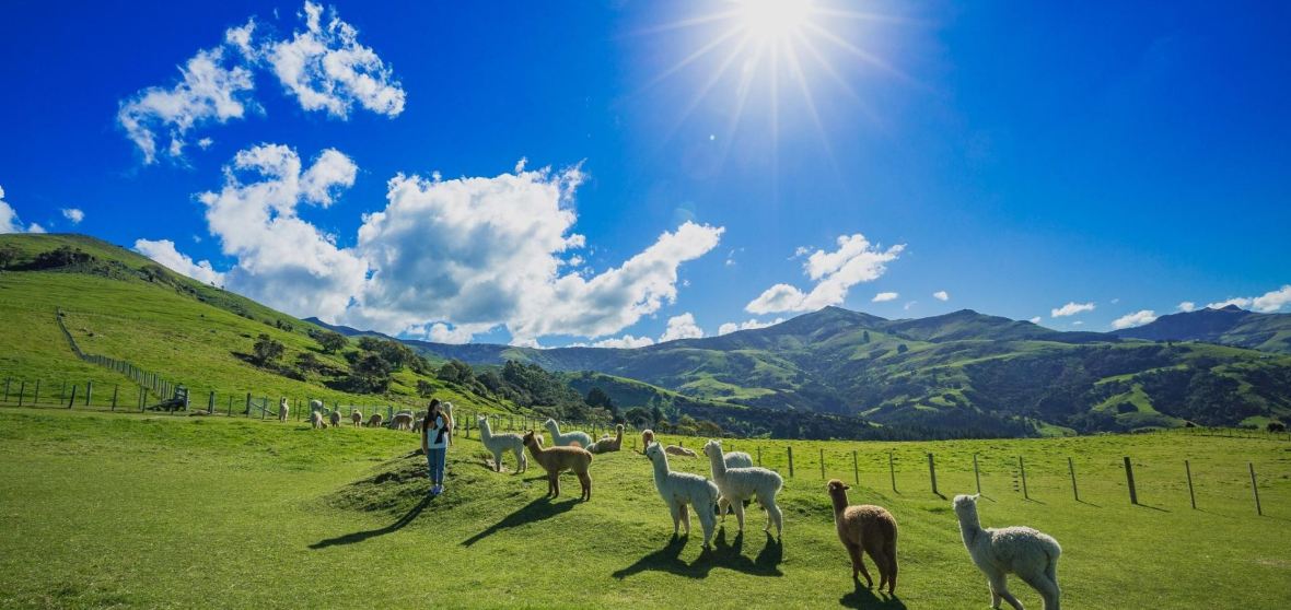 Wainui Travel Guide 2023 - Things to Do, What To Eat & Tips | Trip.com