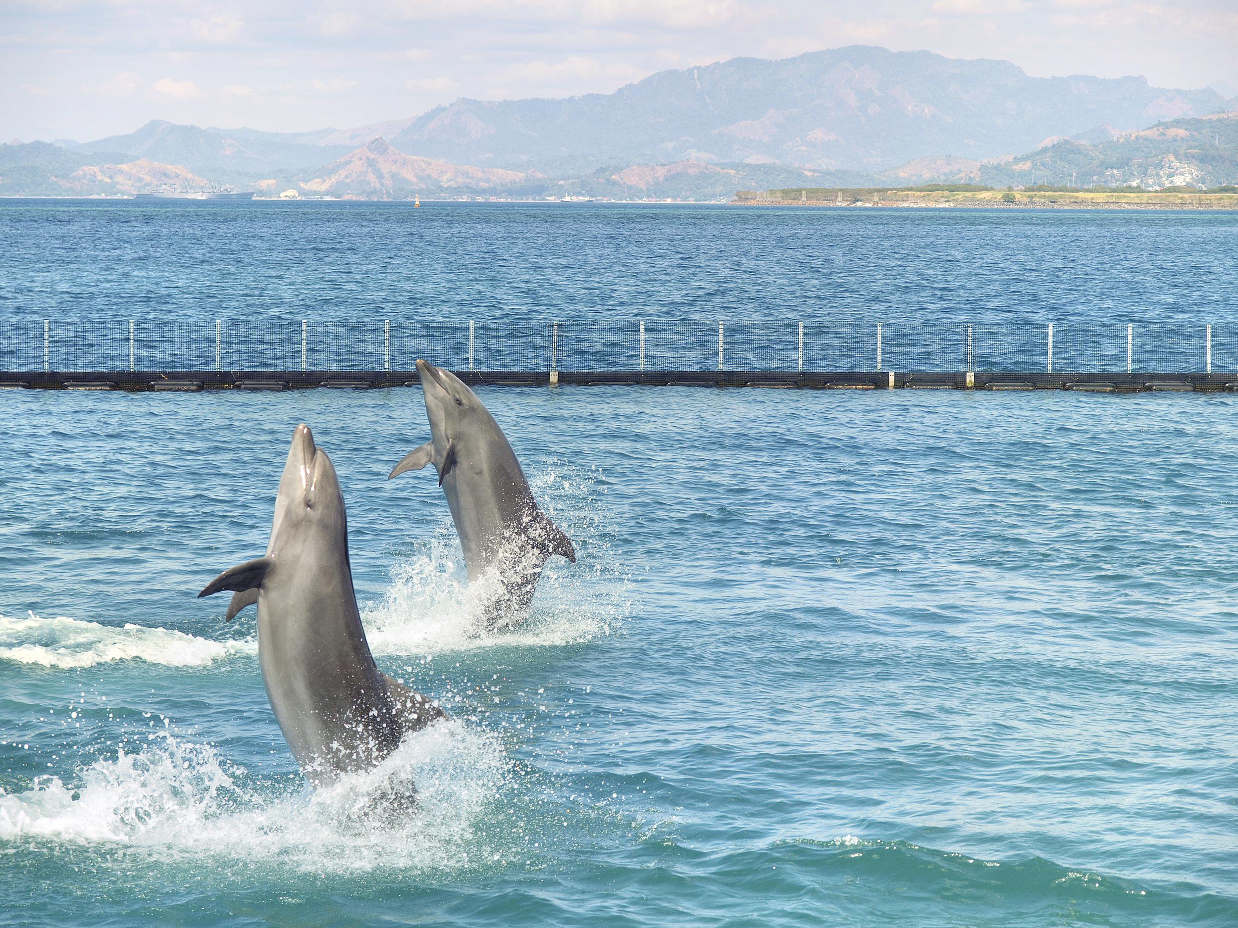 Best Time to Visit Subic Bay for 1 Day :Itinerary, What to Do & Where ...