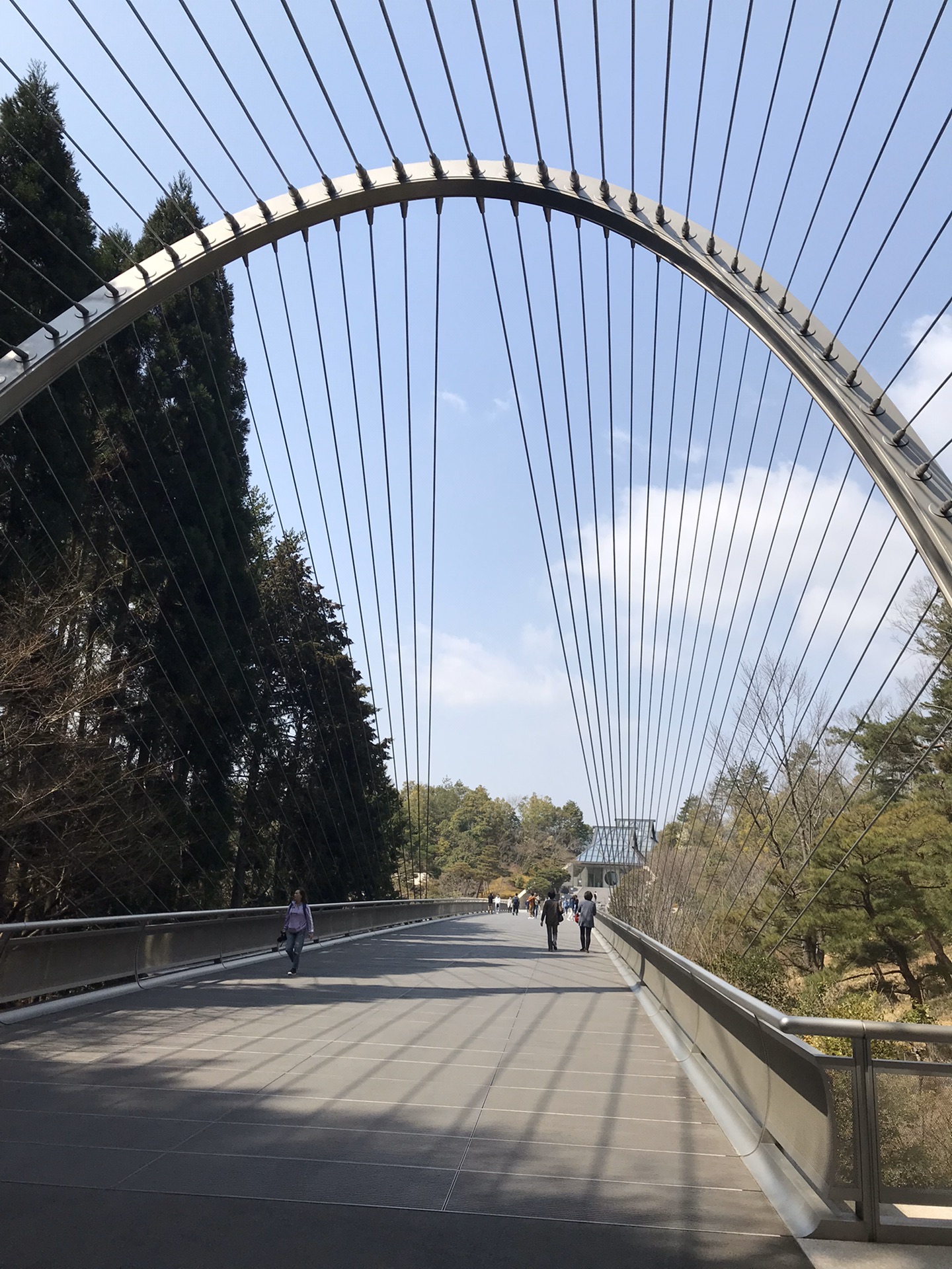 Koka 2022 Top Things to Do - Koka Travel Guides - Top Recommended Koka ...