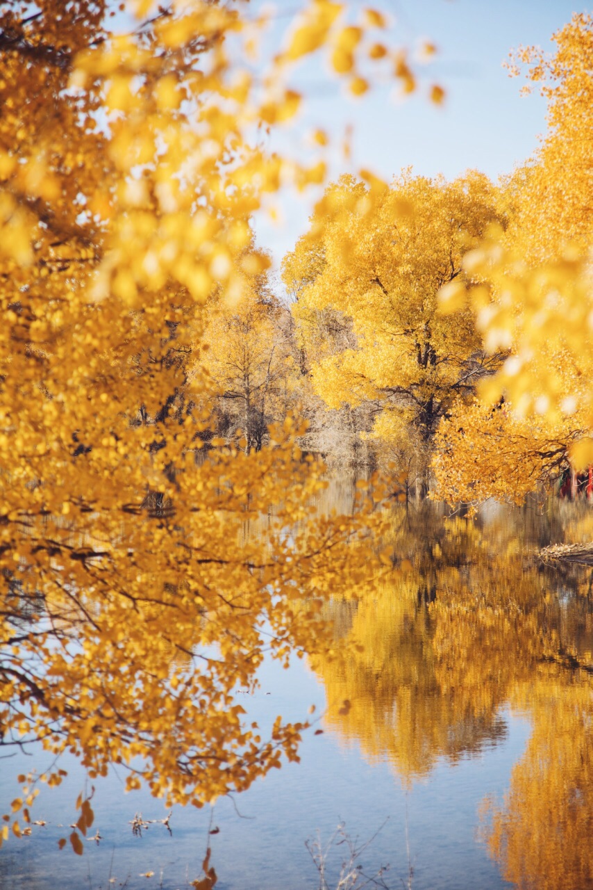 Jinta 2022 Top Things to Do - Jinta Travel Guides - Top Recommended ...