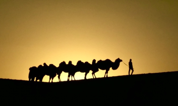 Zhangbei 2022 Top Things to Do - Zhangbei Travel Guides - Top ...