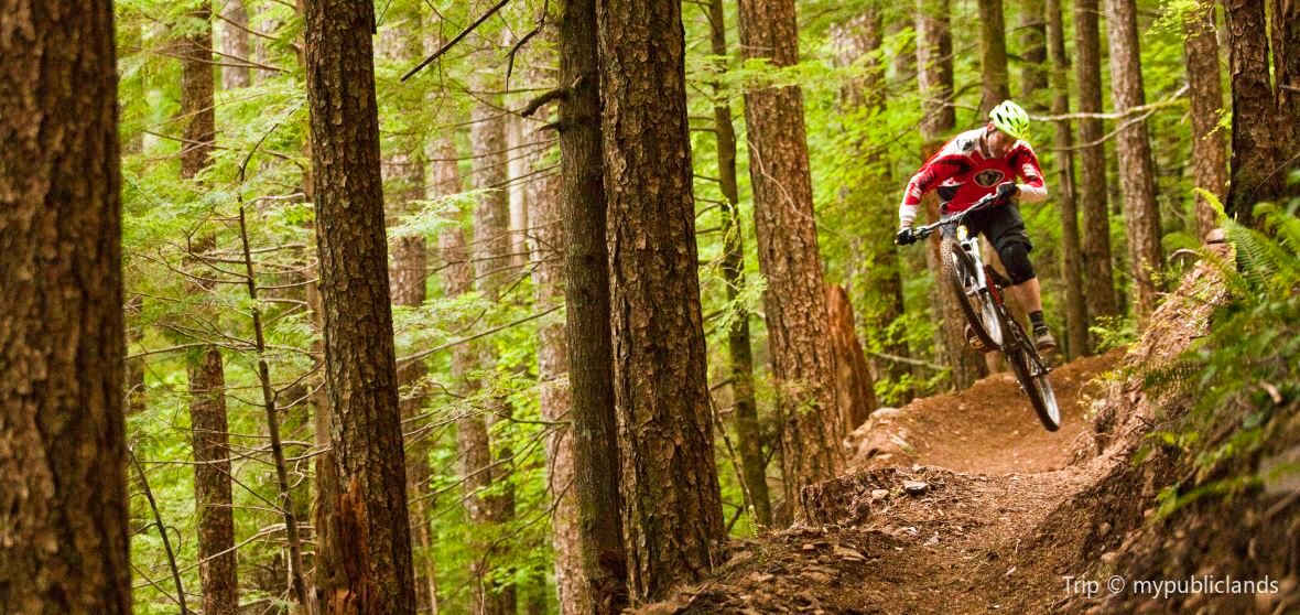 Edgefield County 2023 Top Things to Do - Edgefield County Travel Guides ...