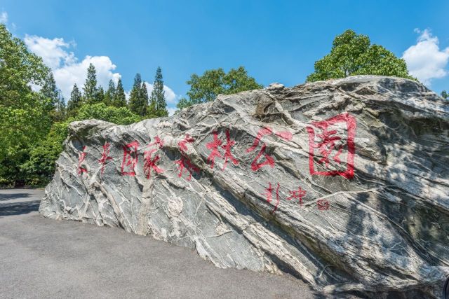 Chongming District 2022 Top Things to Do - Chongming District Travel ...