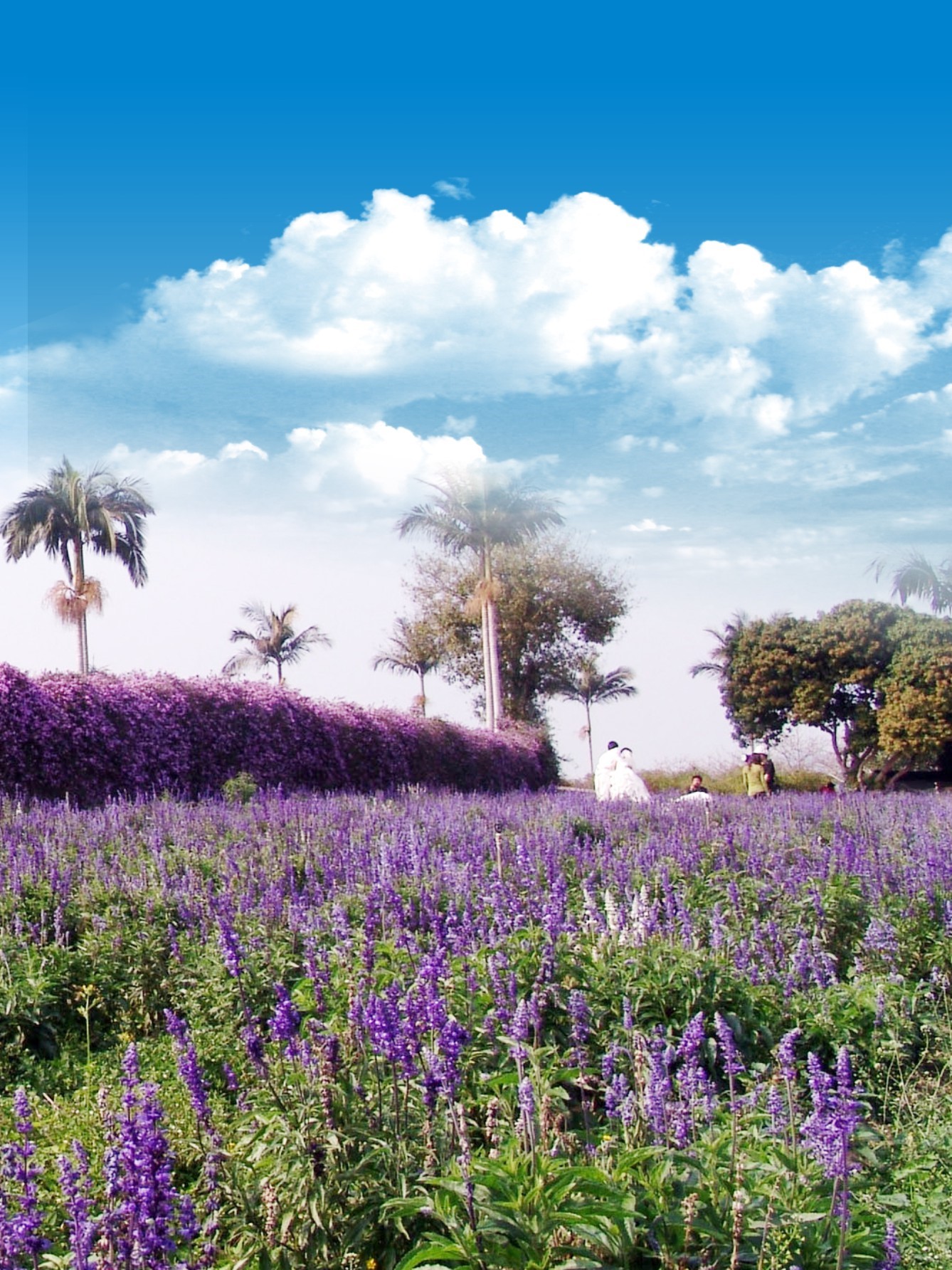 Best Time to Visit Huidong:Itinerary, What to Do & Where to Go - Trip.com