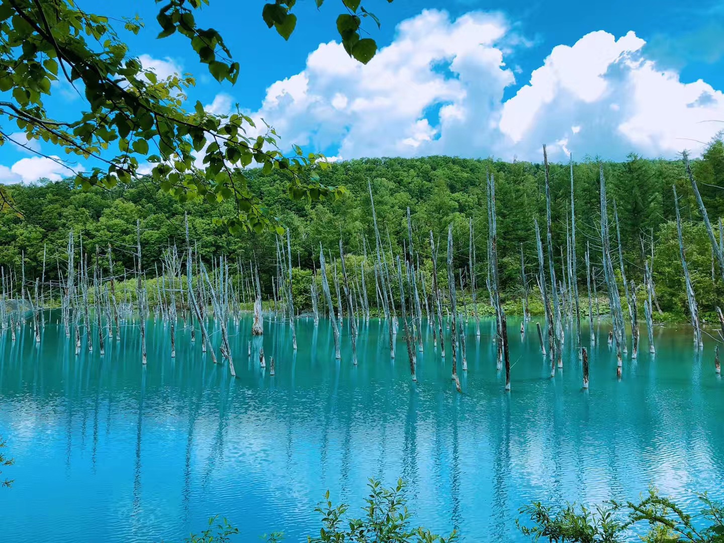 3 Days in Furano: What to Do and See in Furano - Trip.com