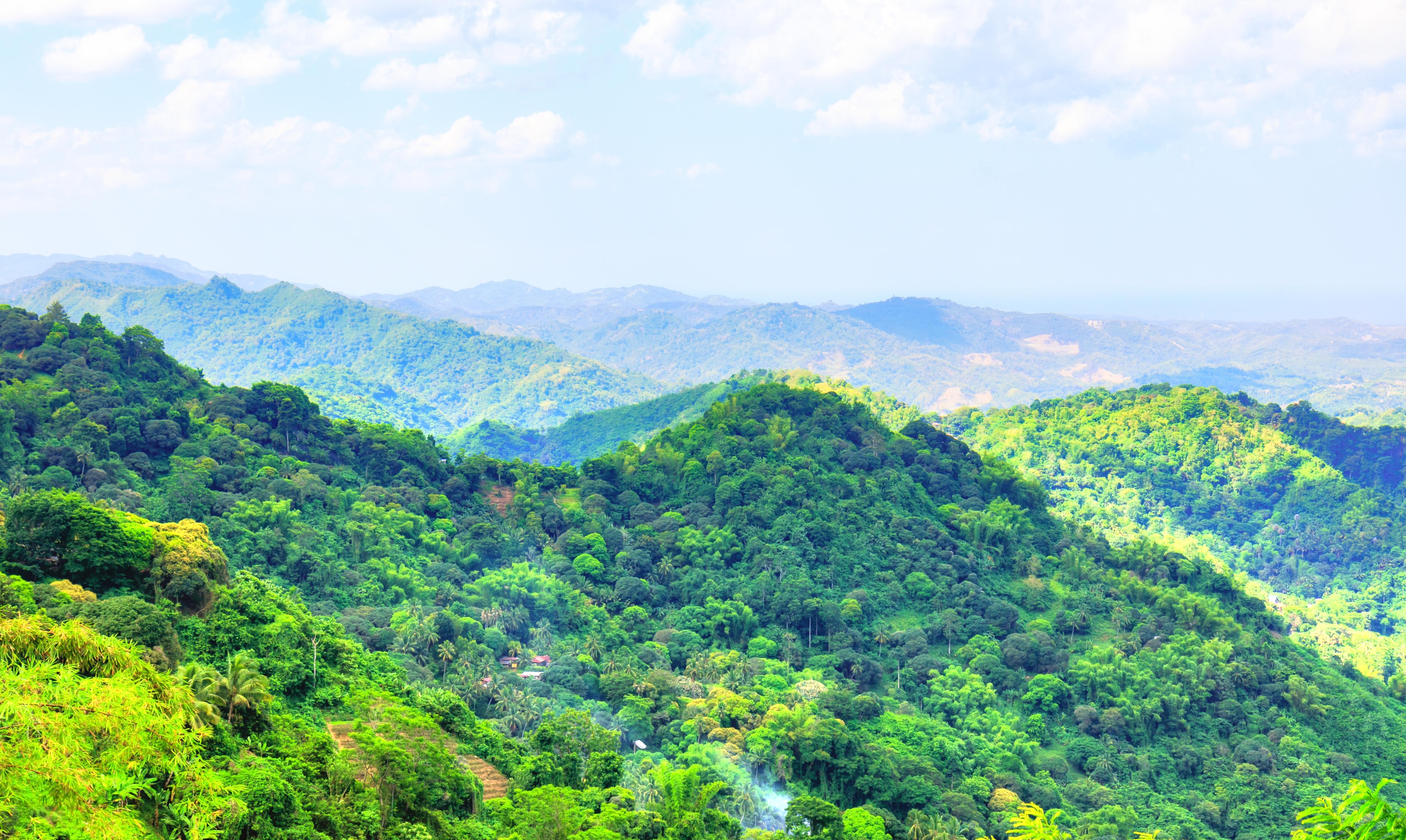 What to Do in Cebu in 3 Days? Travel Guide and Tips - Trip.com