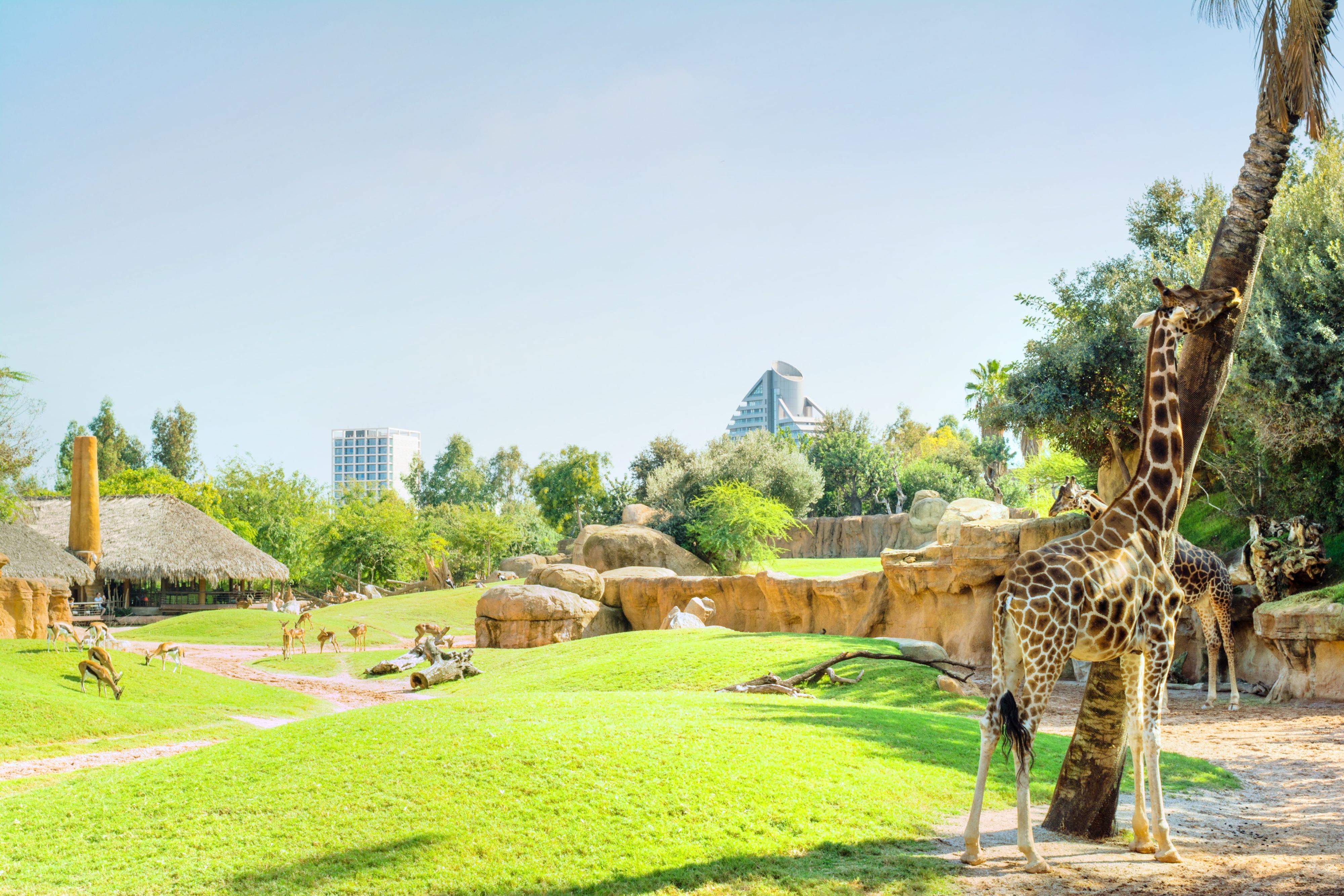 What to Do in Valencia in 6 Days? Travel Guide and Tips - Trip.com