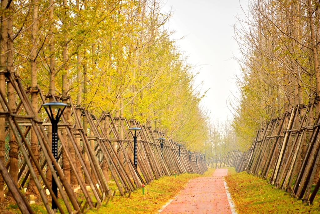 Travel Haining Itinerary:3 days Must-do list in Haining - Trip.com