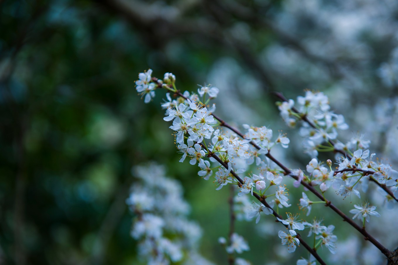 Meixian District 2022 Top Things to Do - Meixian District Travel Guides ...